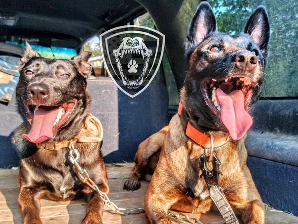 Home [mk9performance.com]