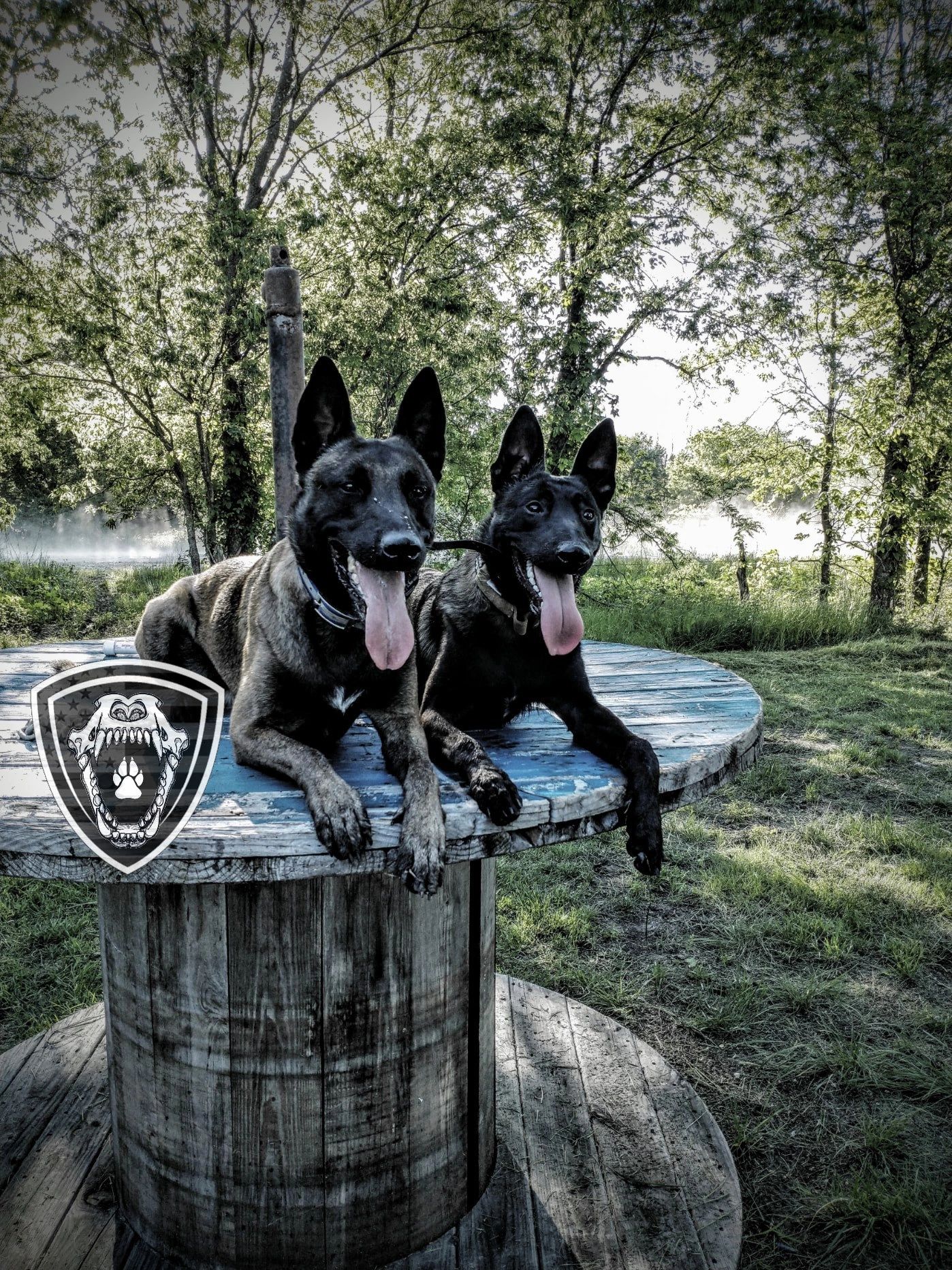 Home [mk9performance.com]