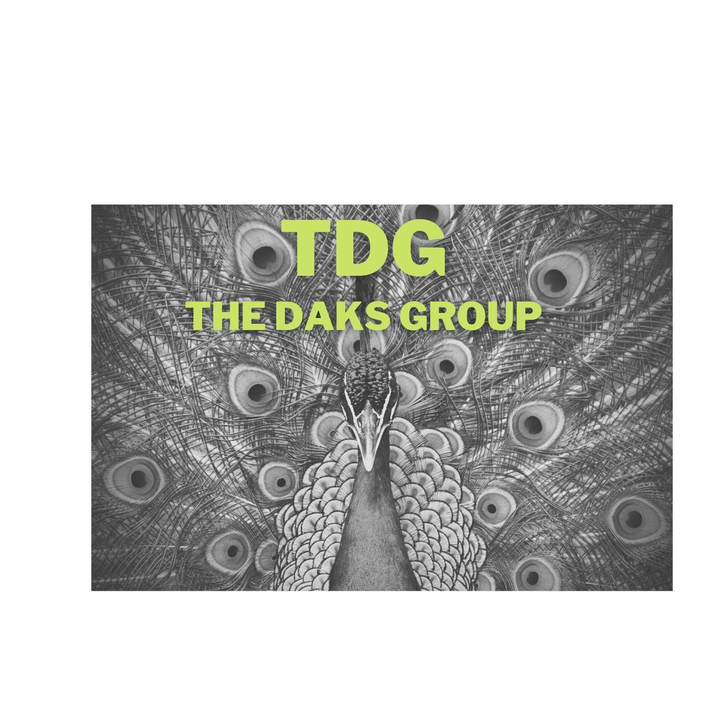 THE DAKS GROUP | THE DAKS GROUP