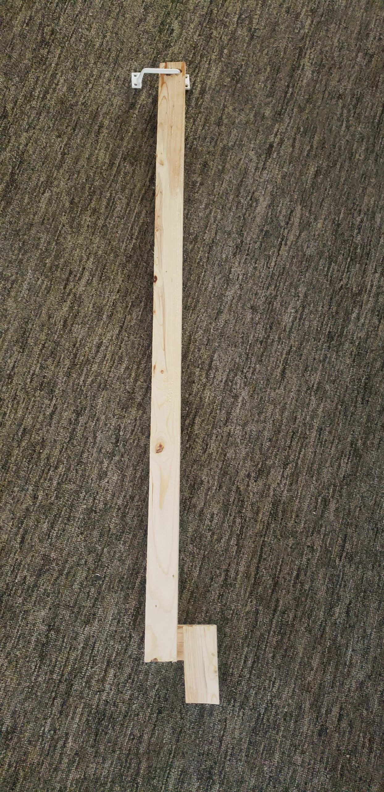 Injection Mold Design for Swinging Center Rod Assembly