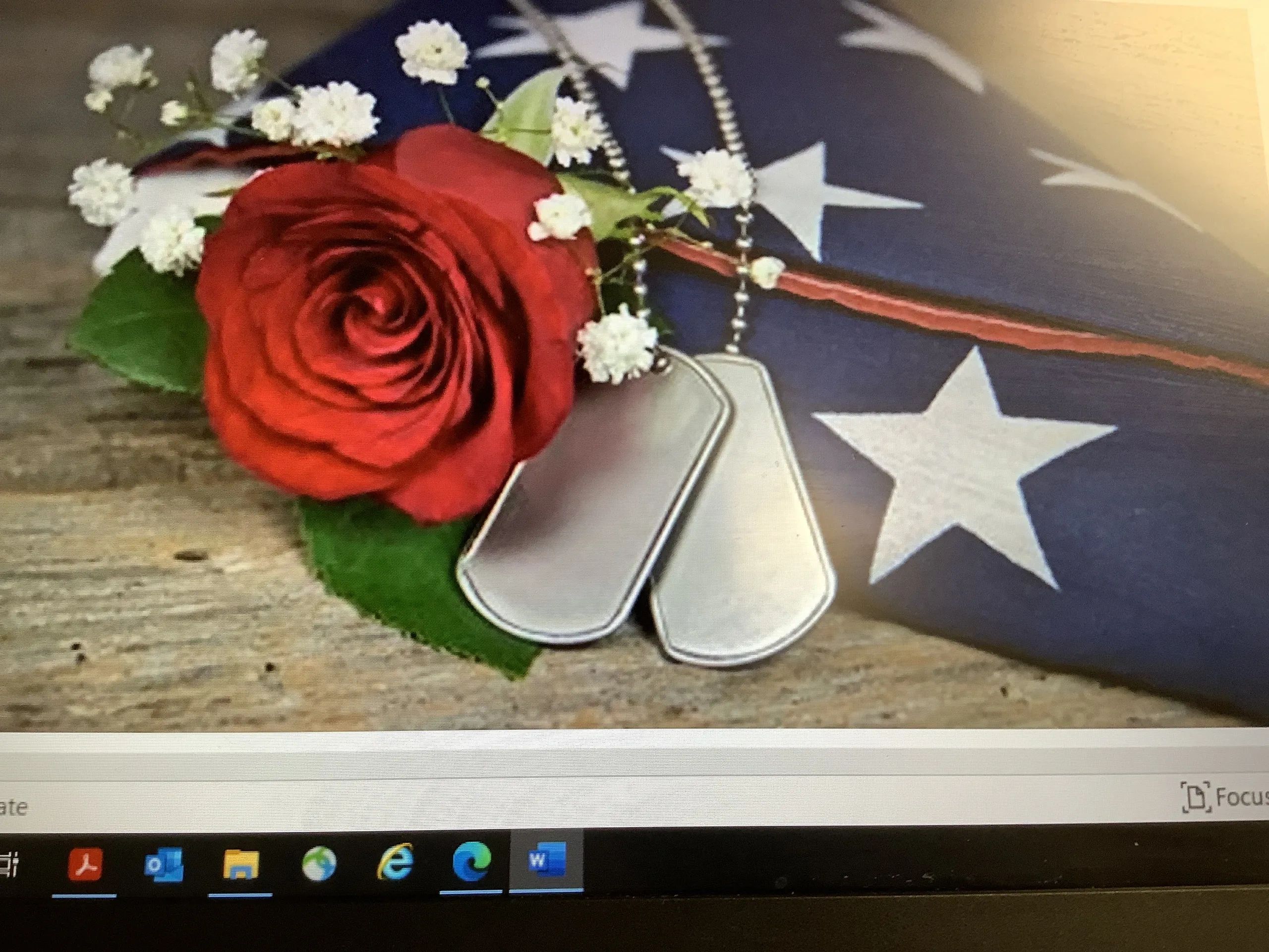 Our Volunteer Program