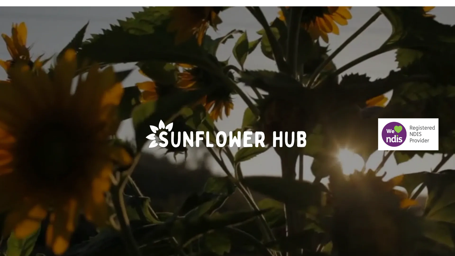 SunflowerHub - Disability Services, Brisbane
