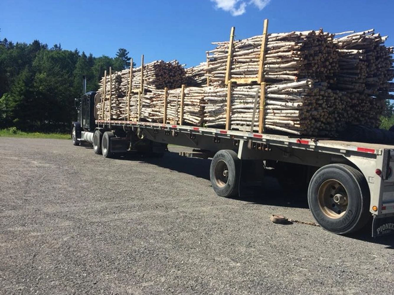 Buy Decorative Birch Products