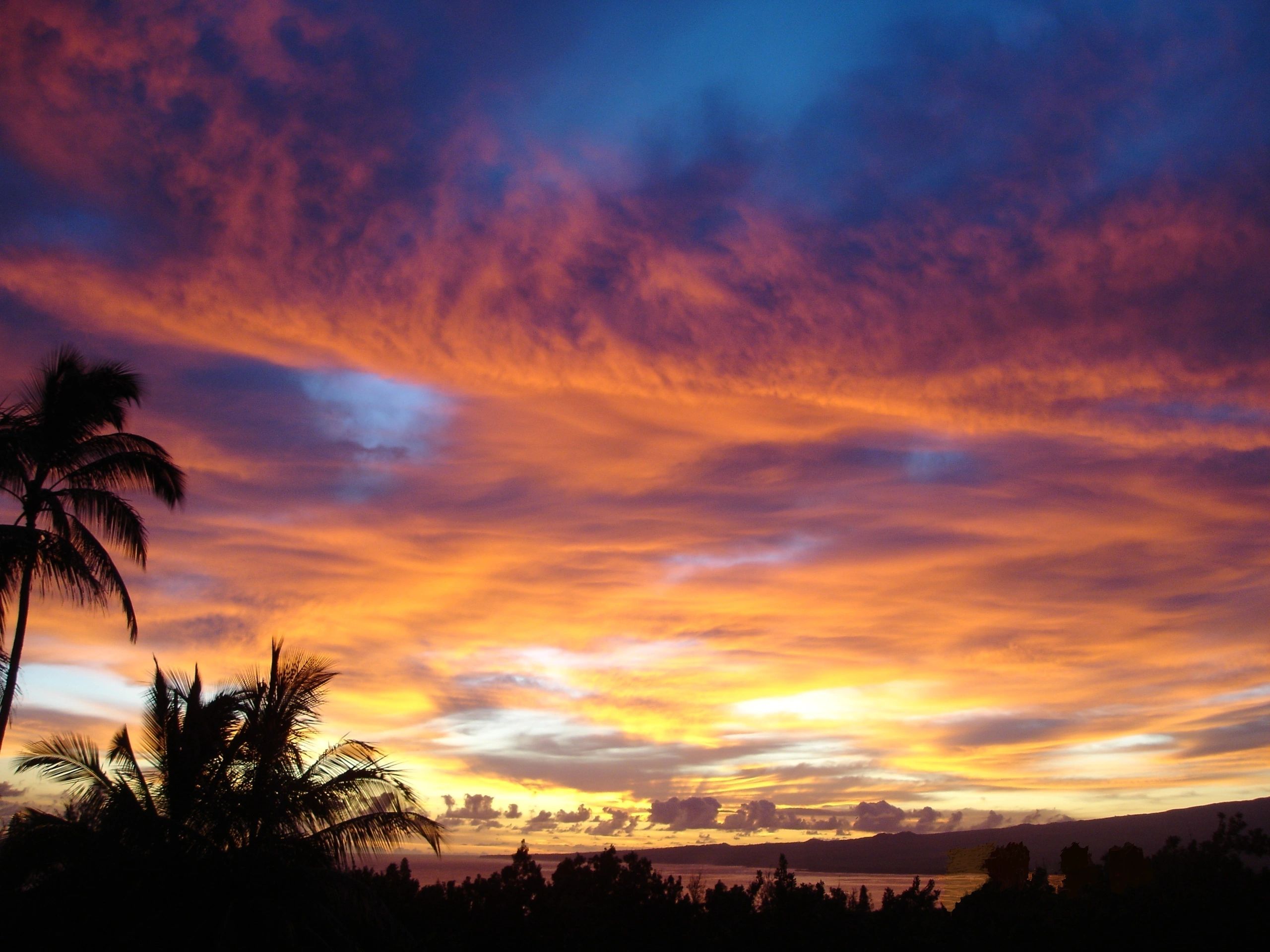 Maui Nature Tours - Maui Nature Tours, Maui Hikes, Road to Hana