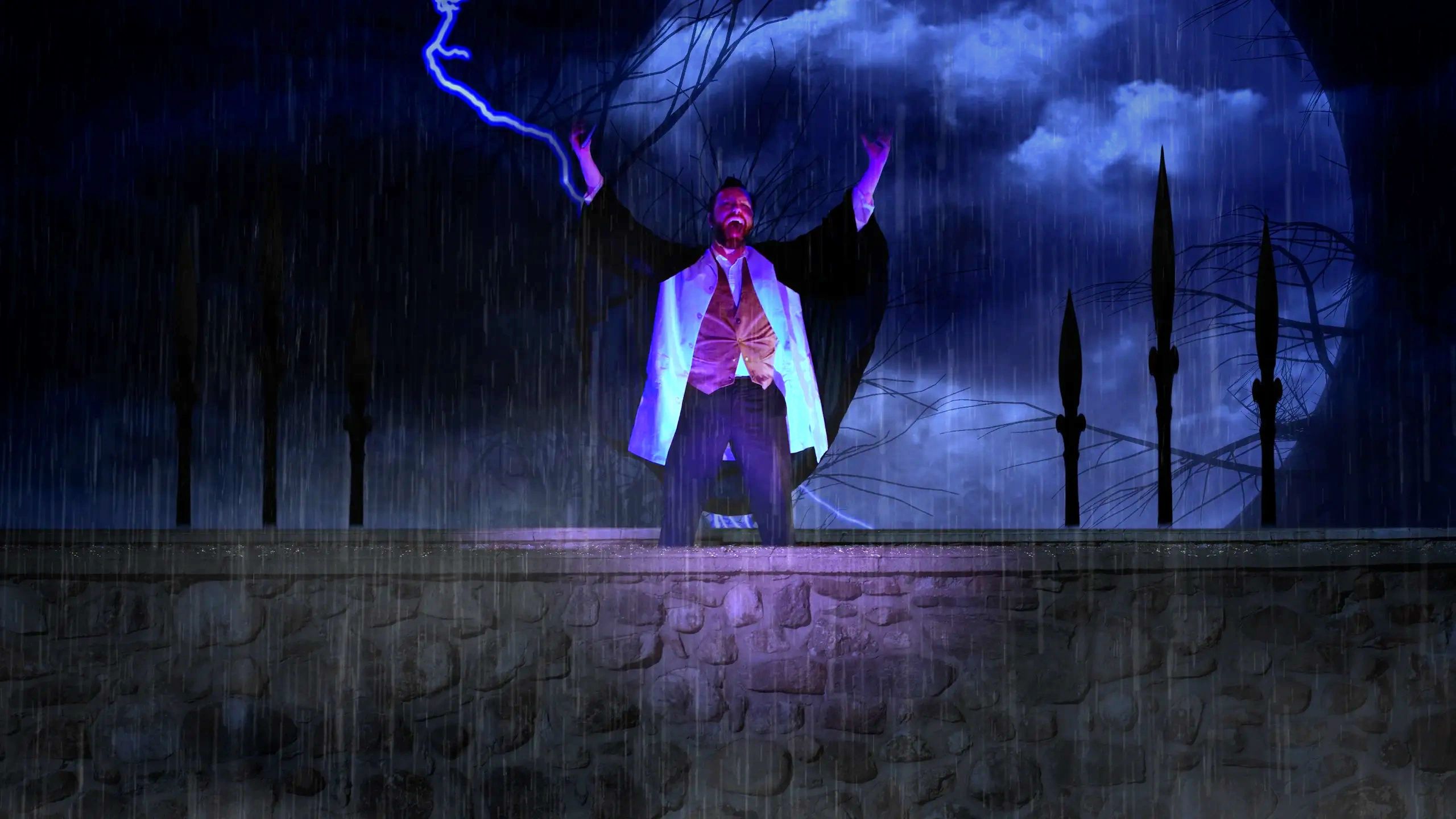 Tin Mirror Studios - Home