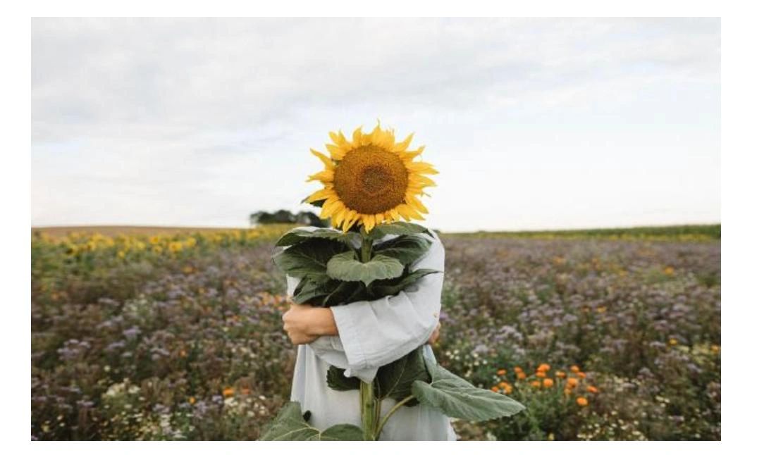 Sunflowers for Soldiers