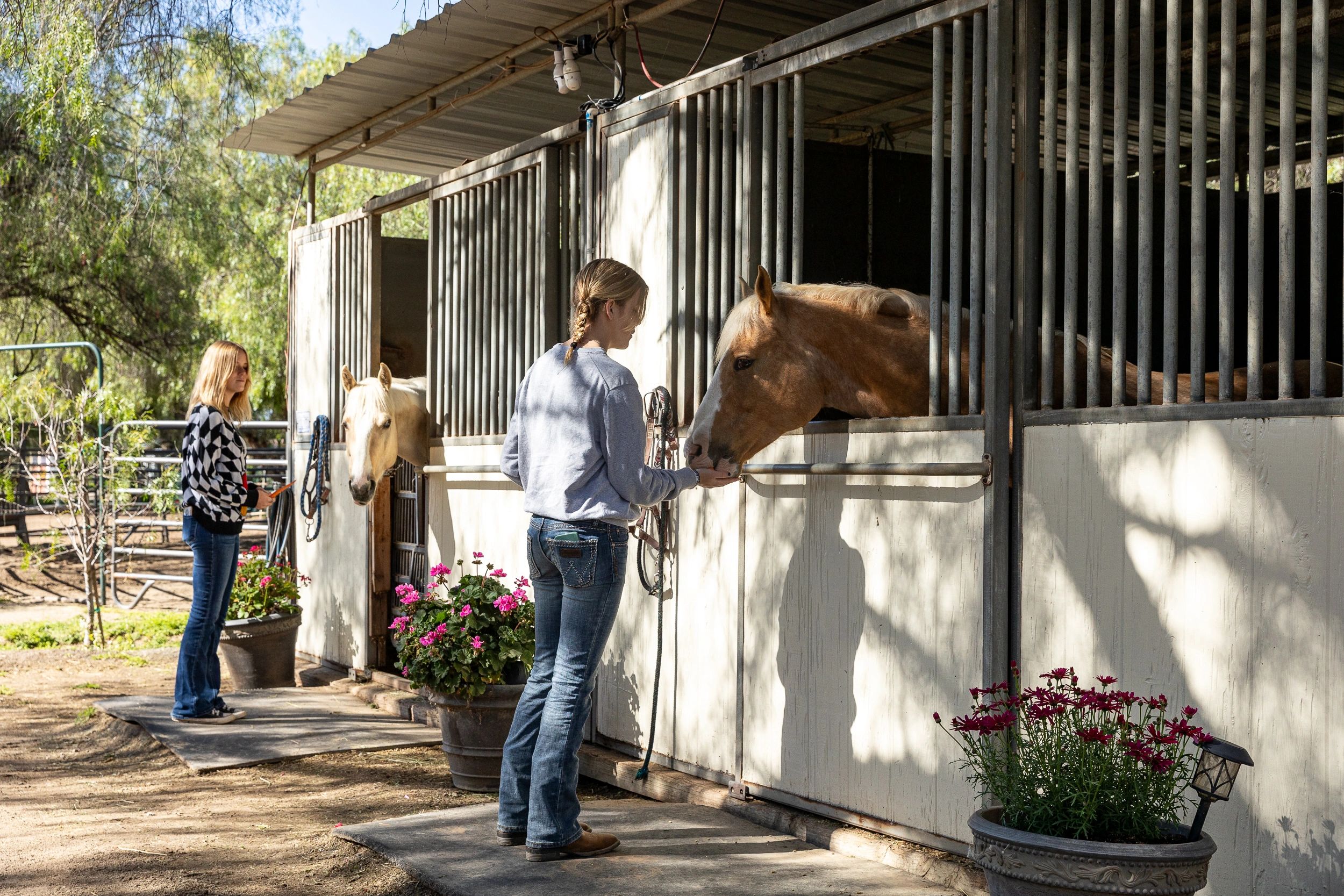 Home | Jamul Trails Ranch