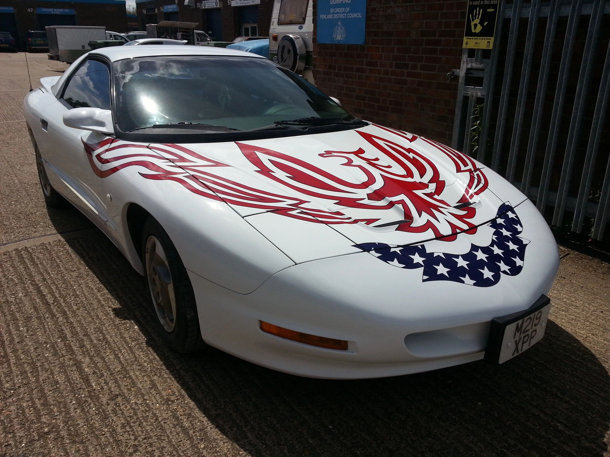 1993 Pontiac Firebird Custom Paint Job