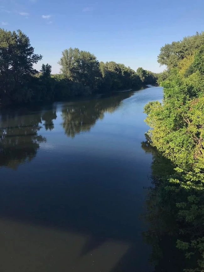 Harriet Corvine - Home