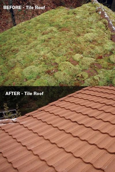 Gentle Roof Cleaning - Harbor Roof and Gutter Cleaning, LLC | Harbor ...