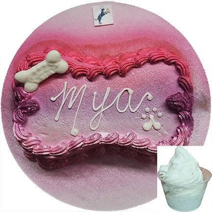 6" Birthday Party Iconic Summer Collection Package