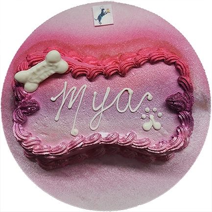 6" Iconic Summer Collection