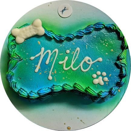 6" Mythical Cake (Color: 6" Dinosaur)
