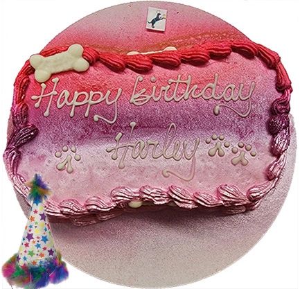 9" Birthday Party Iconic Summer Collection Package 2