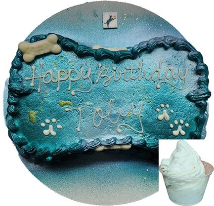9" Birthday Party Spring Package