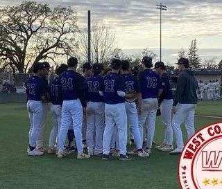 Falcons Baseball Falcon Reports