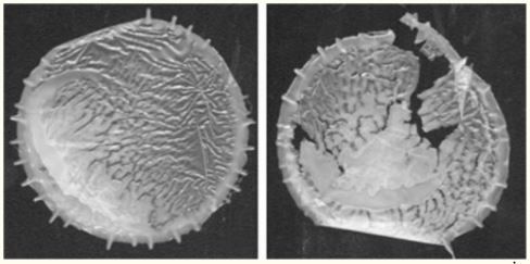 Part 4: Why Plastics Yellow: What Happens In The Plastic?