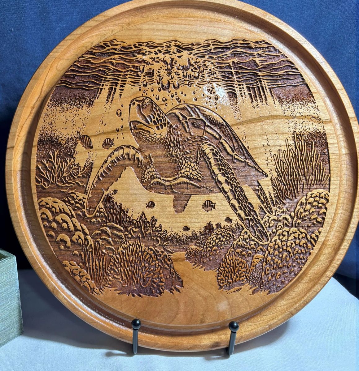Round Sea Turtle