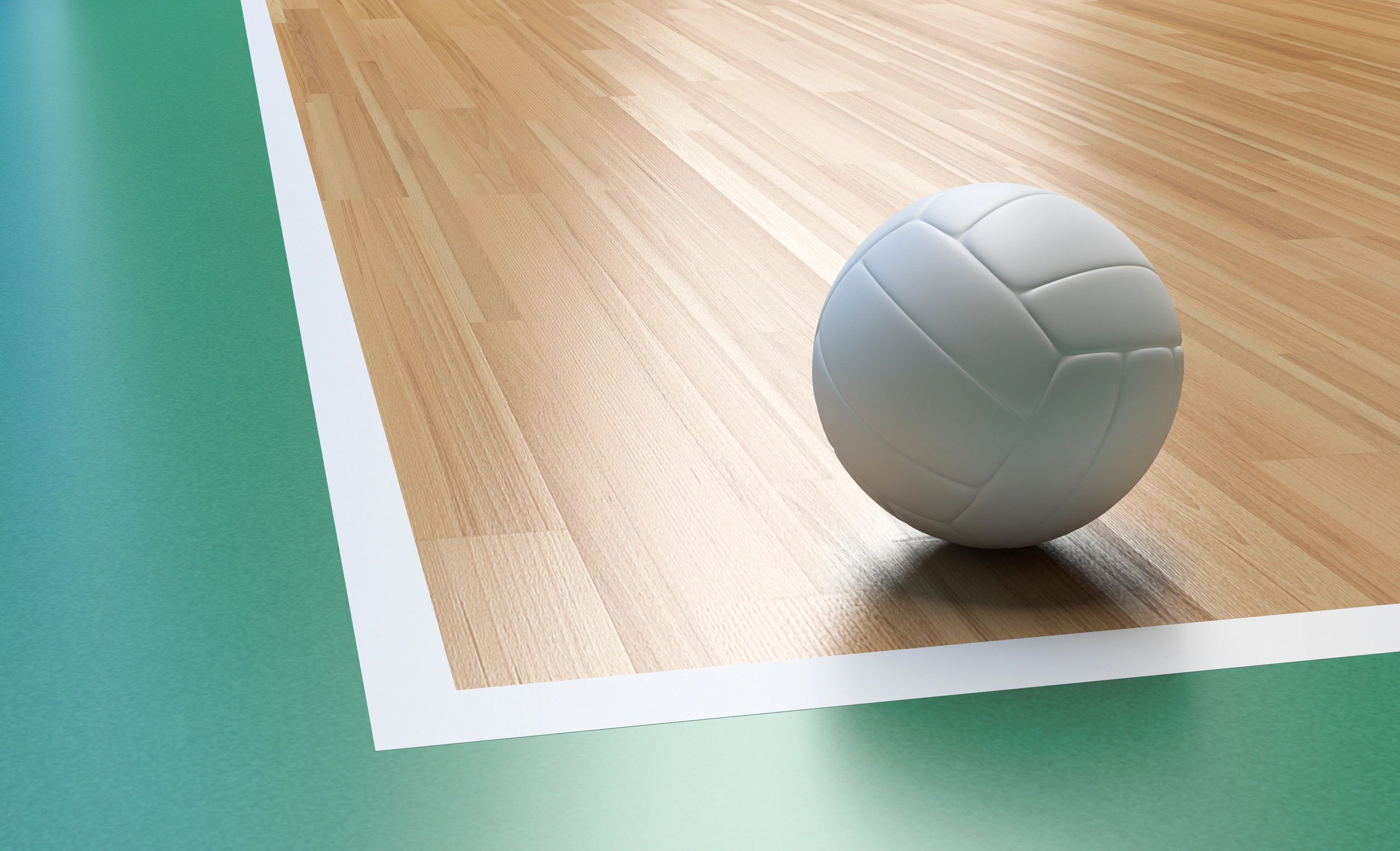 Open Competitive Volleyball