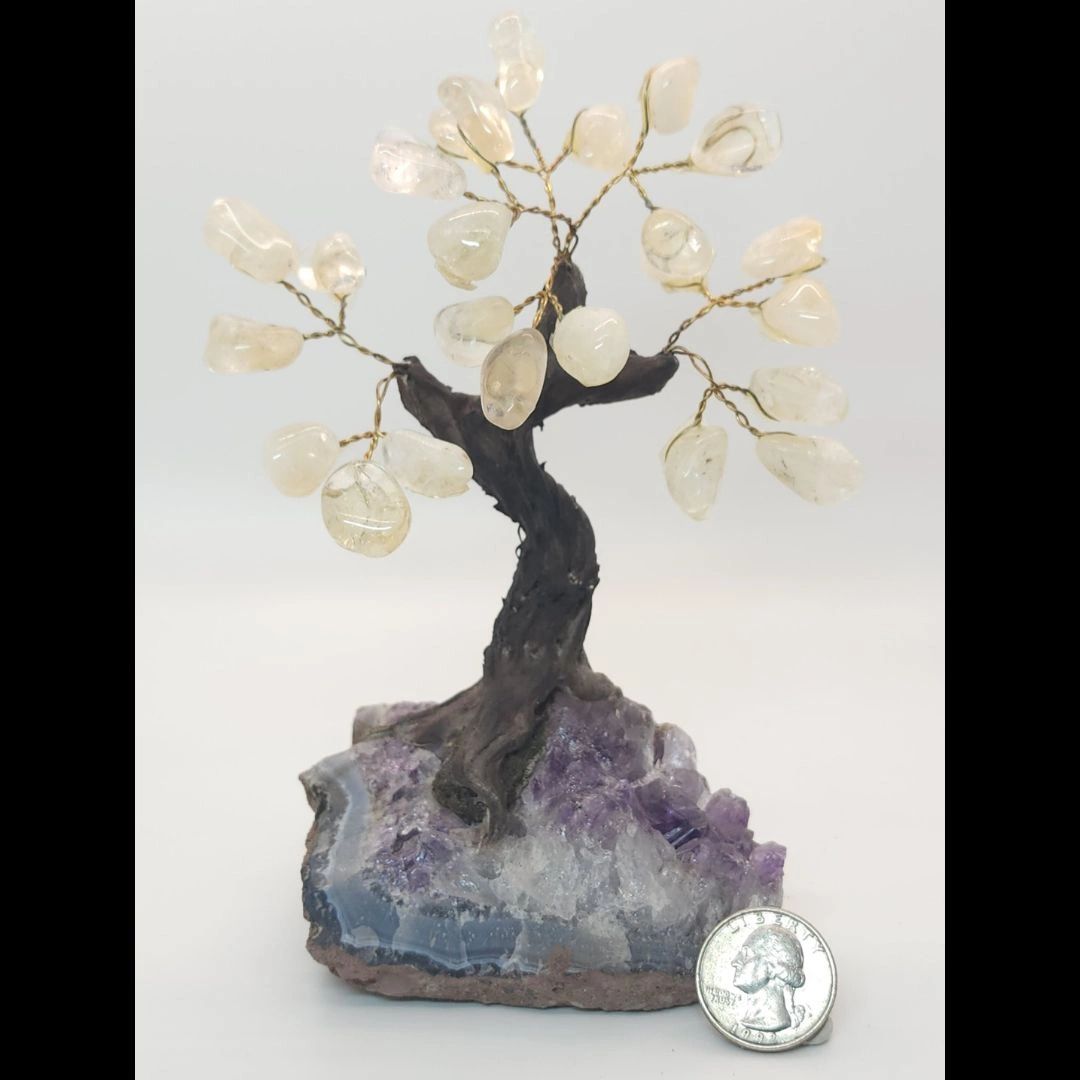 Citrine Crystal Tree on Amethyst/Quartz Crystal Base