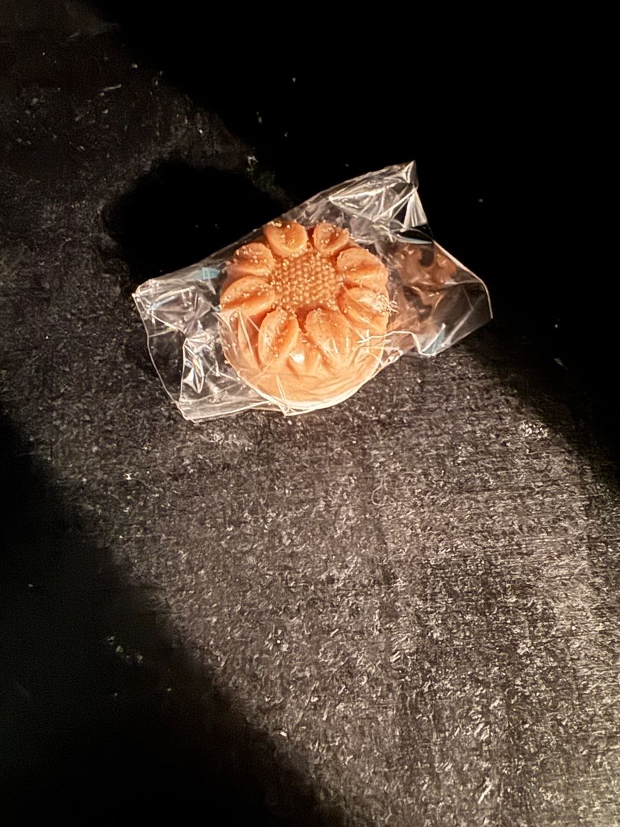 Vanilla Sugar Sample Soap