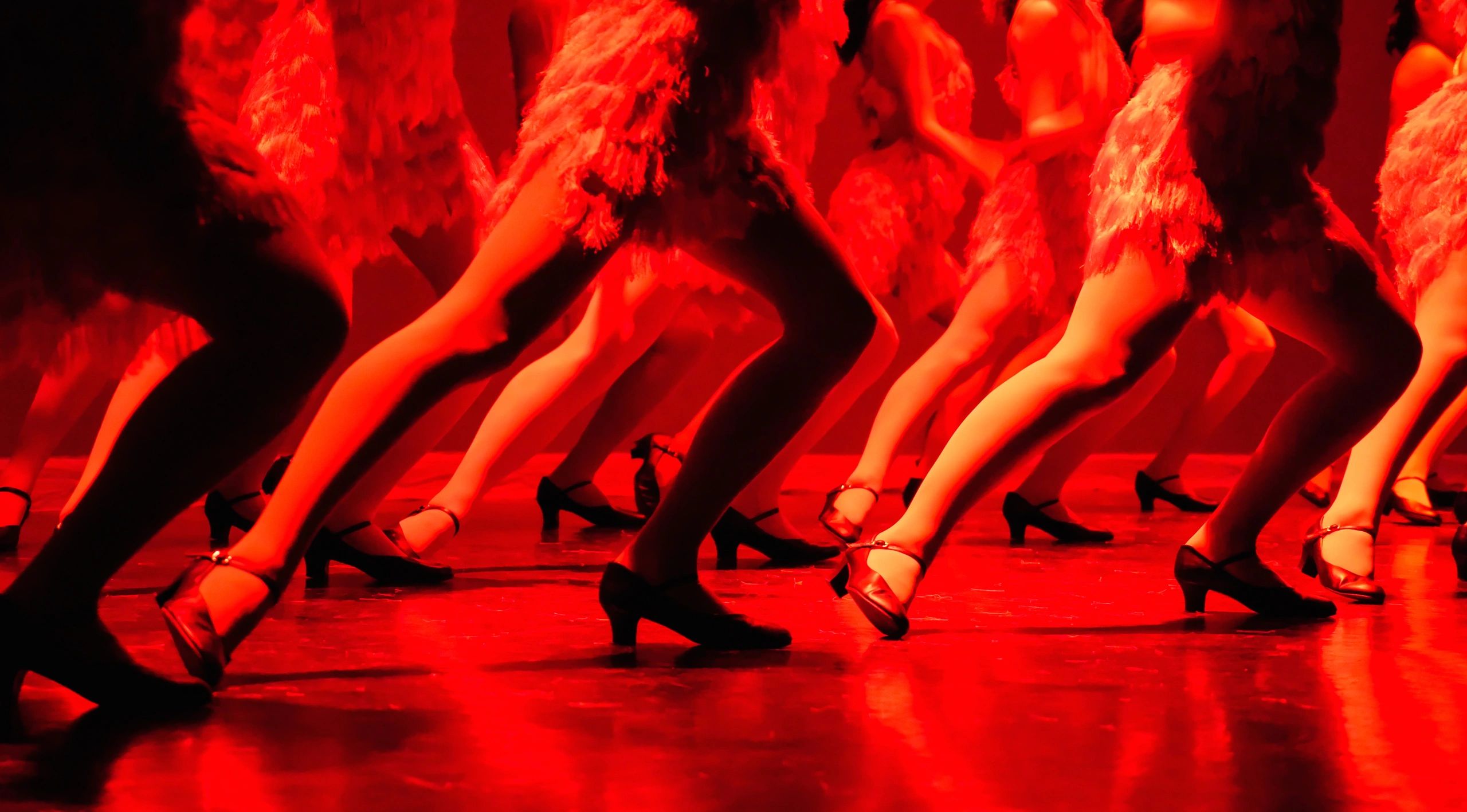 Gail Ercoli Dance Studio - Dance Studio, Dance Lessons, Dance Classes