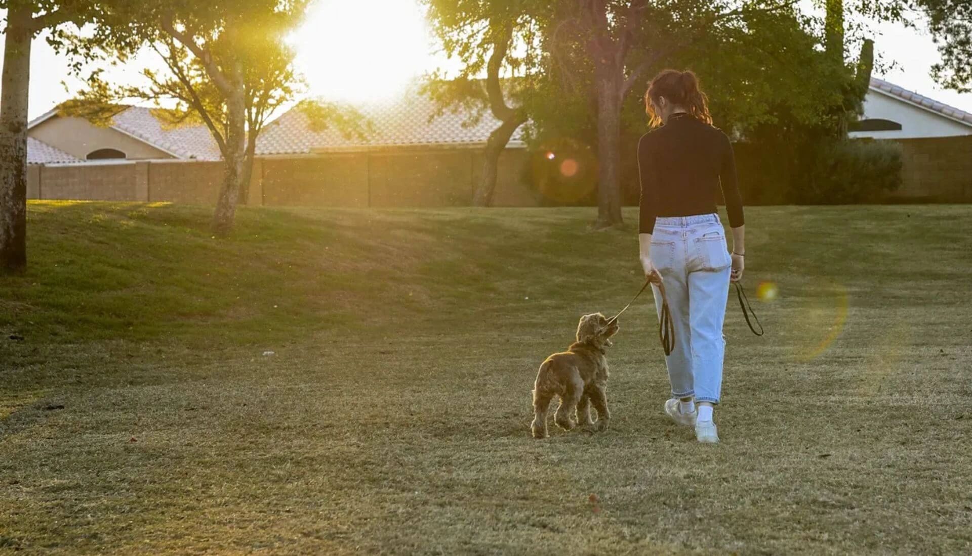 New Instincts K9: Gilbert Dog Training | Balanced Methods