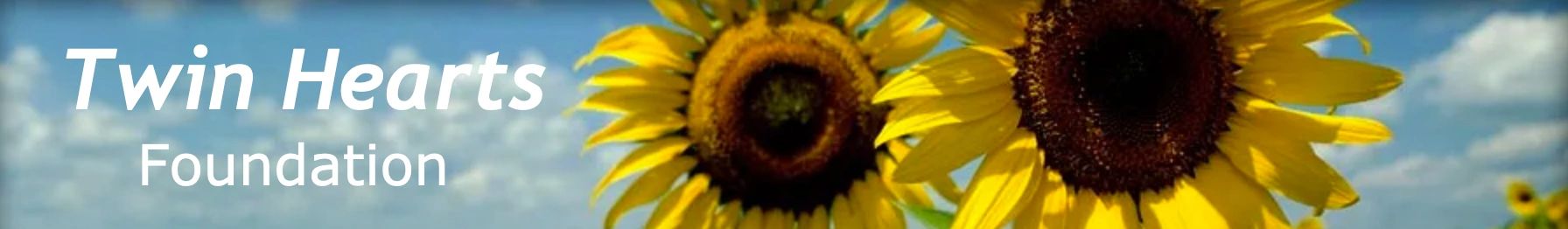 Home [twinheartsfoundation.com]