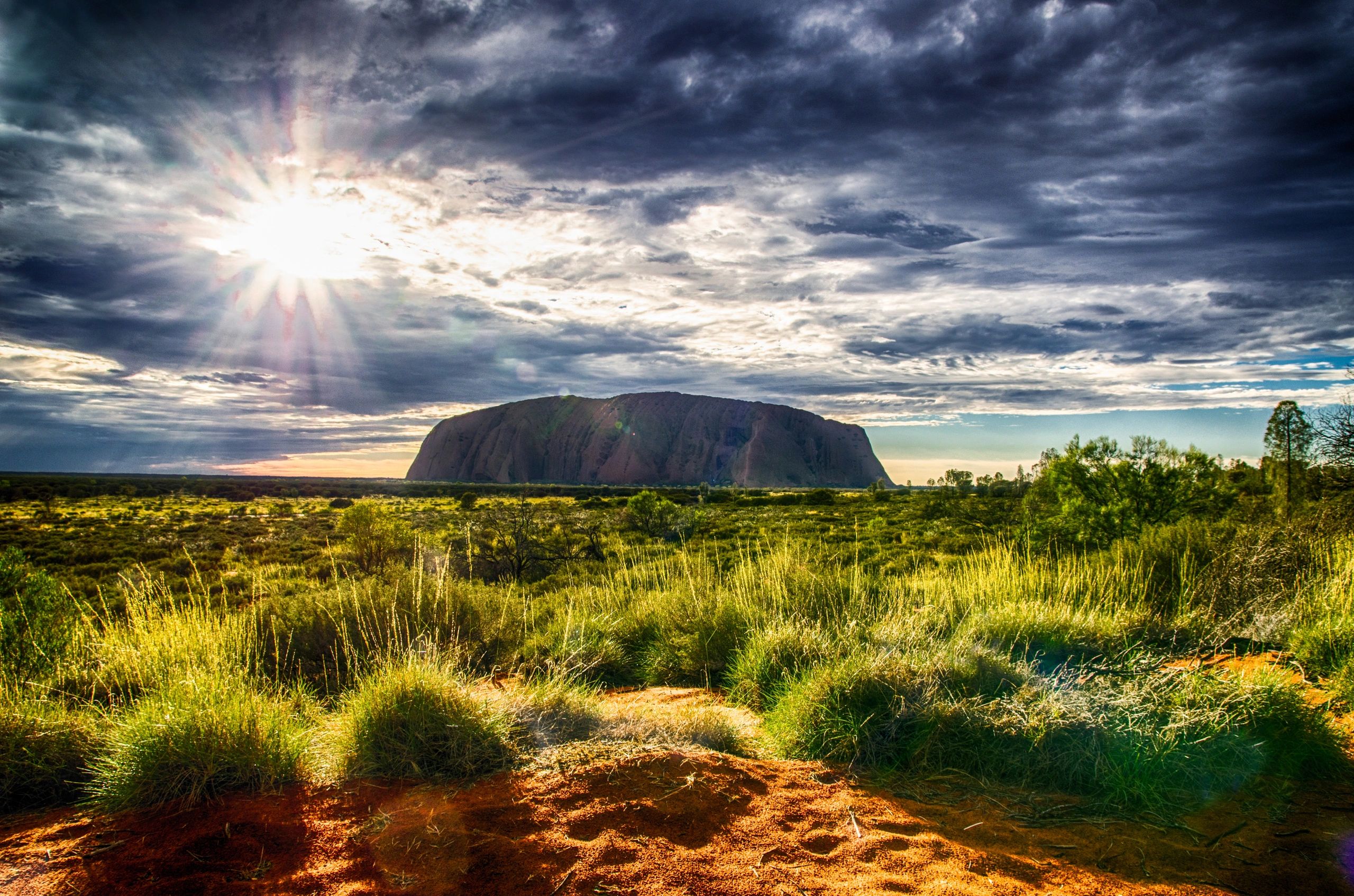 THE ULURU STATEMENT AND THE VOICE OF TYRANNY