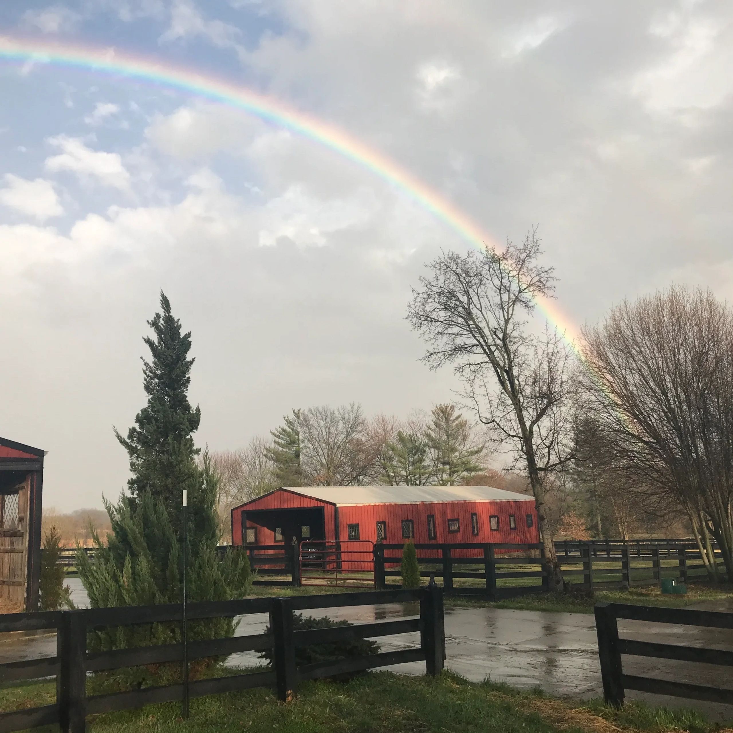 Inside Happy Dance Farm