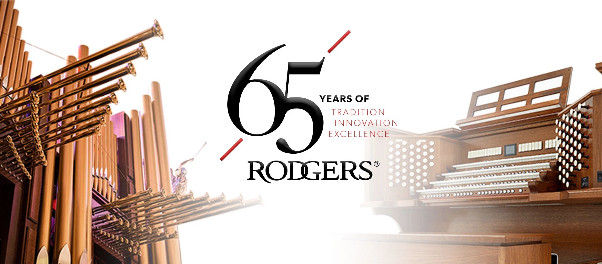 Rodgers Infinity 367