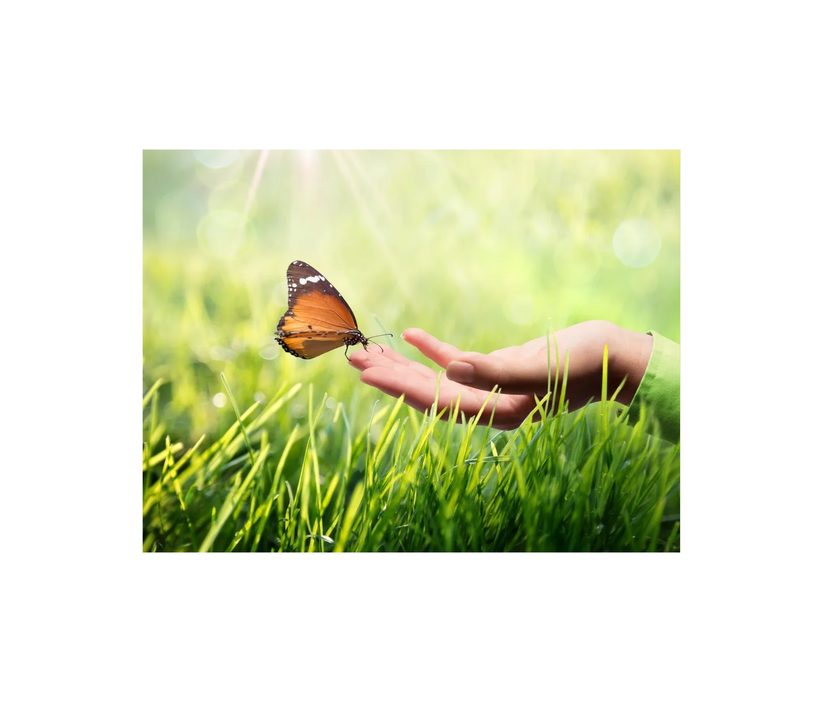 EWS Consultancy Services Ltd