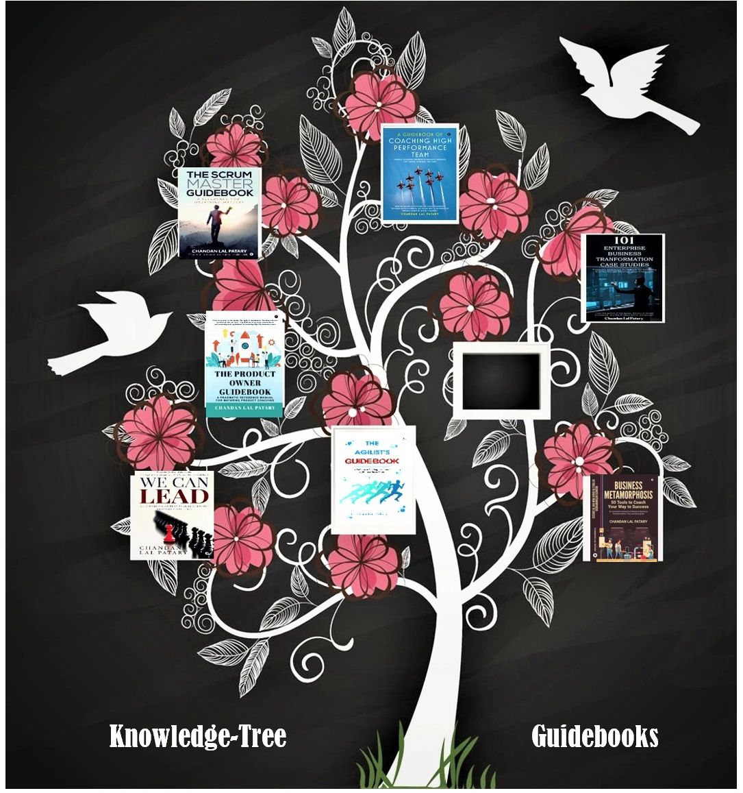 Enterprise Business Transformation Guidebook