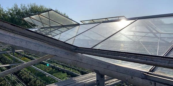 Commercial Glasshouse Contracts Ltd - Glasshouse Maintenance ...