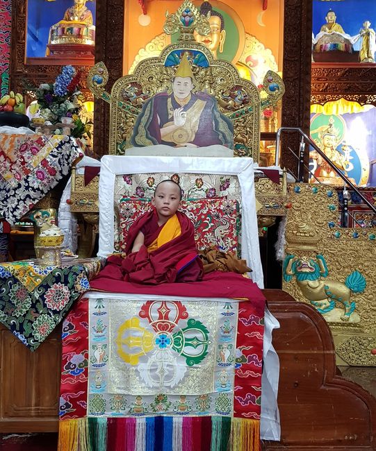 Lati Rinpoche, Gaden Shartse Monastery, Gashar Phukhang Lati Ladang ...