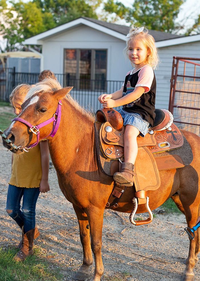 Huddin Homestead Fun Farm