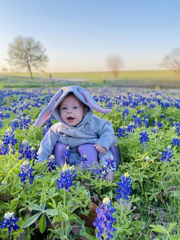 Huddin Homestead Fun Farm - Petting Zoo, Farm