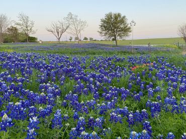 Huddin Homestead Fun Farm - Petting Zoo, Farm