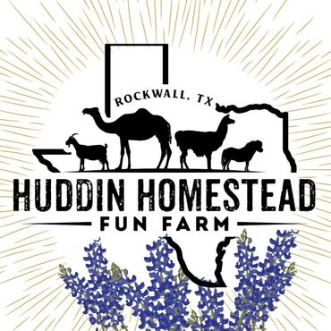 Huddin Homestead Fun Farm - Petting Zoo, Farm