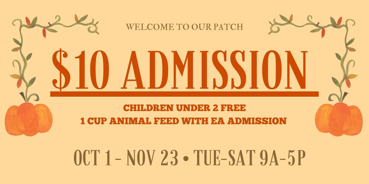 Huddin Homestead Fun Farm