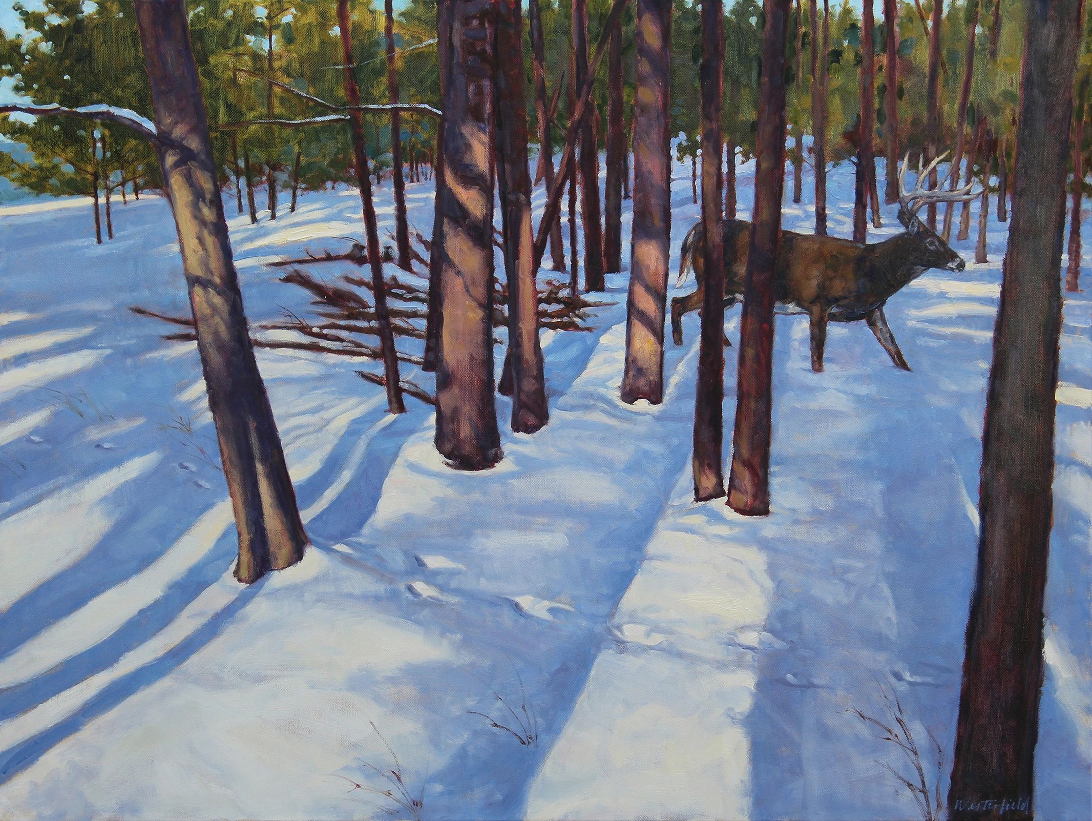David Westerfield - Artist, Art, Paintings