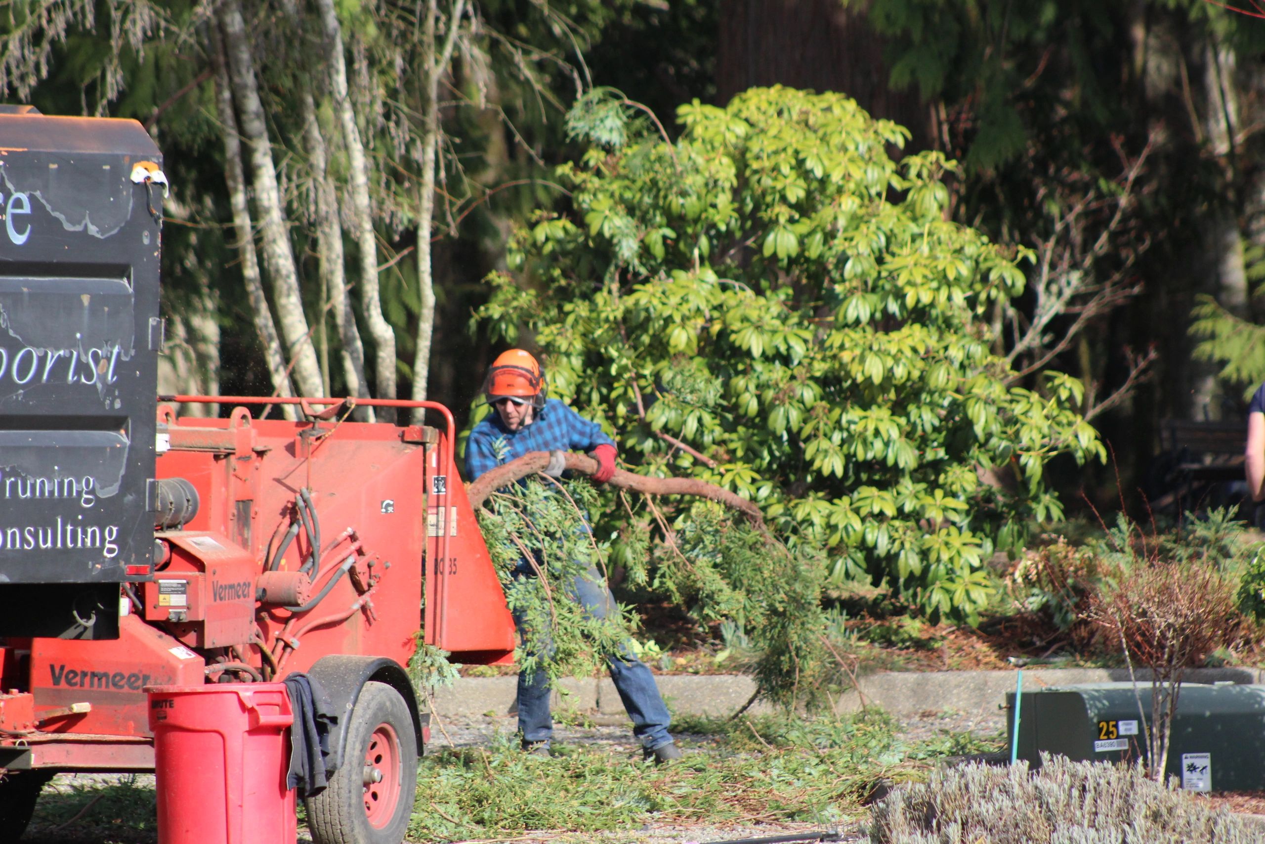 NW Arborists Whites Tree Care - Tree Service, Tree Removal, Arborist