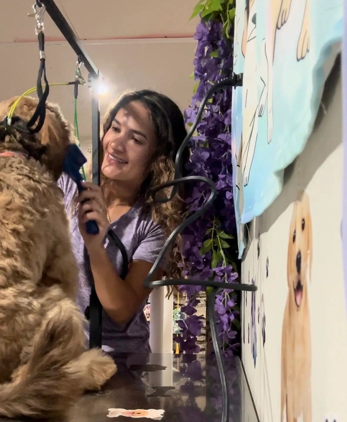 Adorable Creatures Dog Grooming