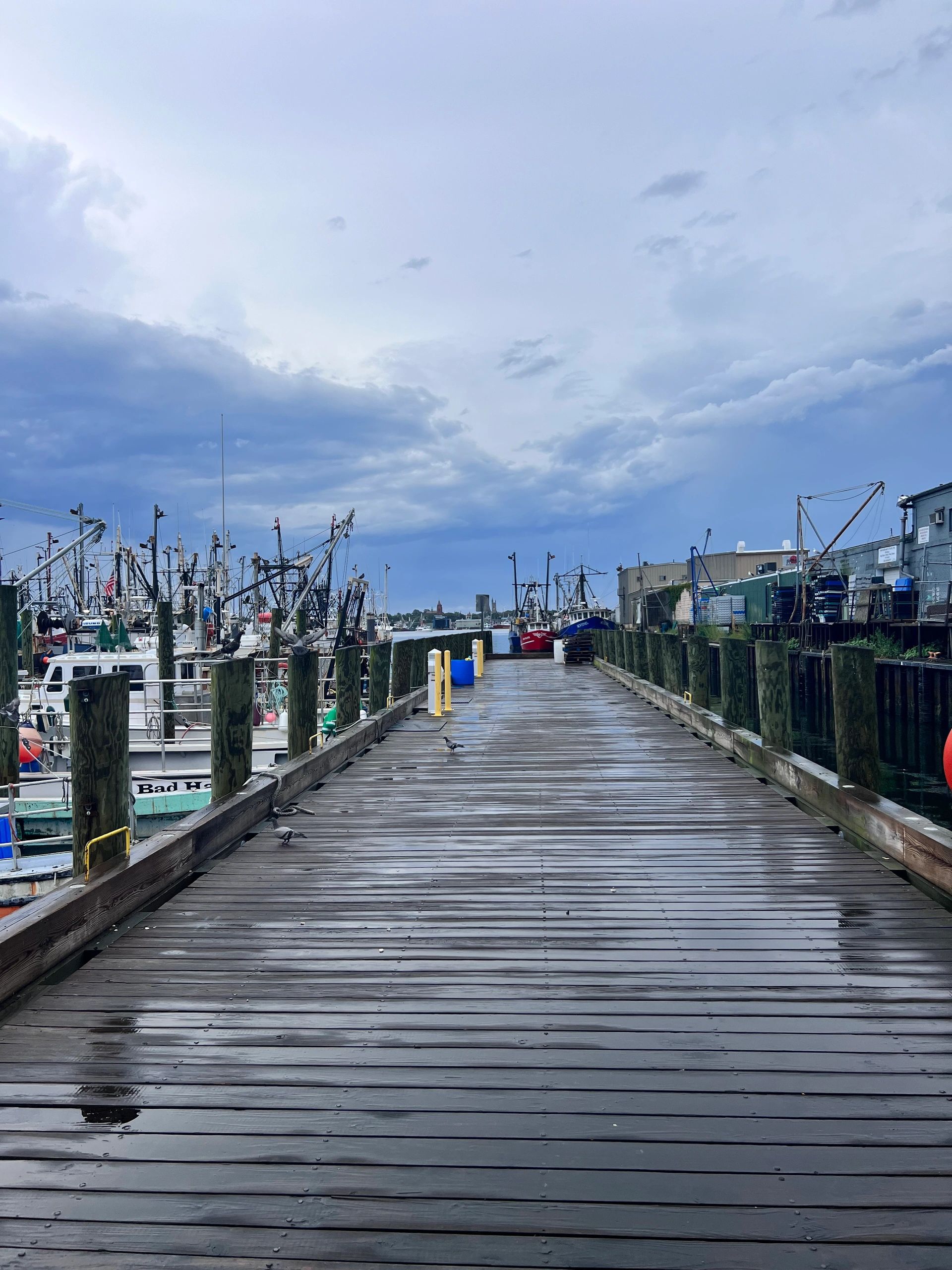 Scallop Life - Commercial Fishing Gear, Custom T Shirts, Scallop Life