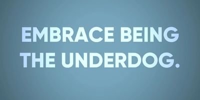 Fear-Free Certified Canine Esthetician| Underdogs Grooming