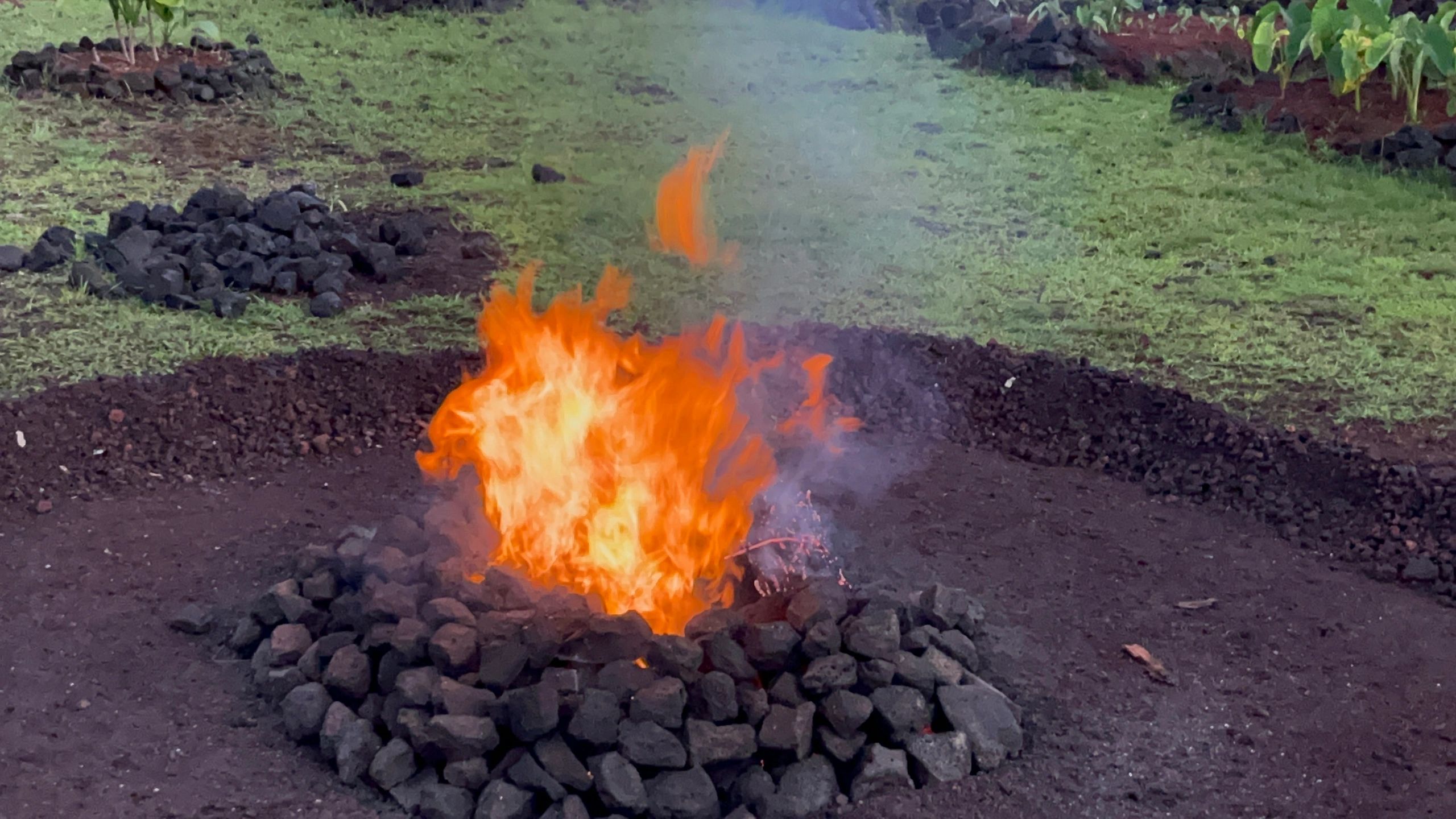 Imu Mea Ai Food Tour Hawaii - Home