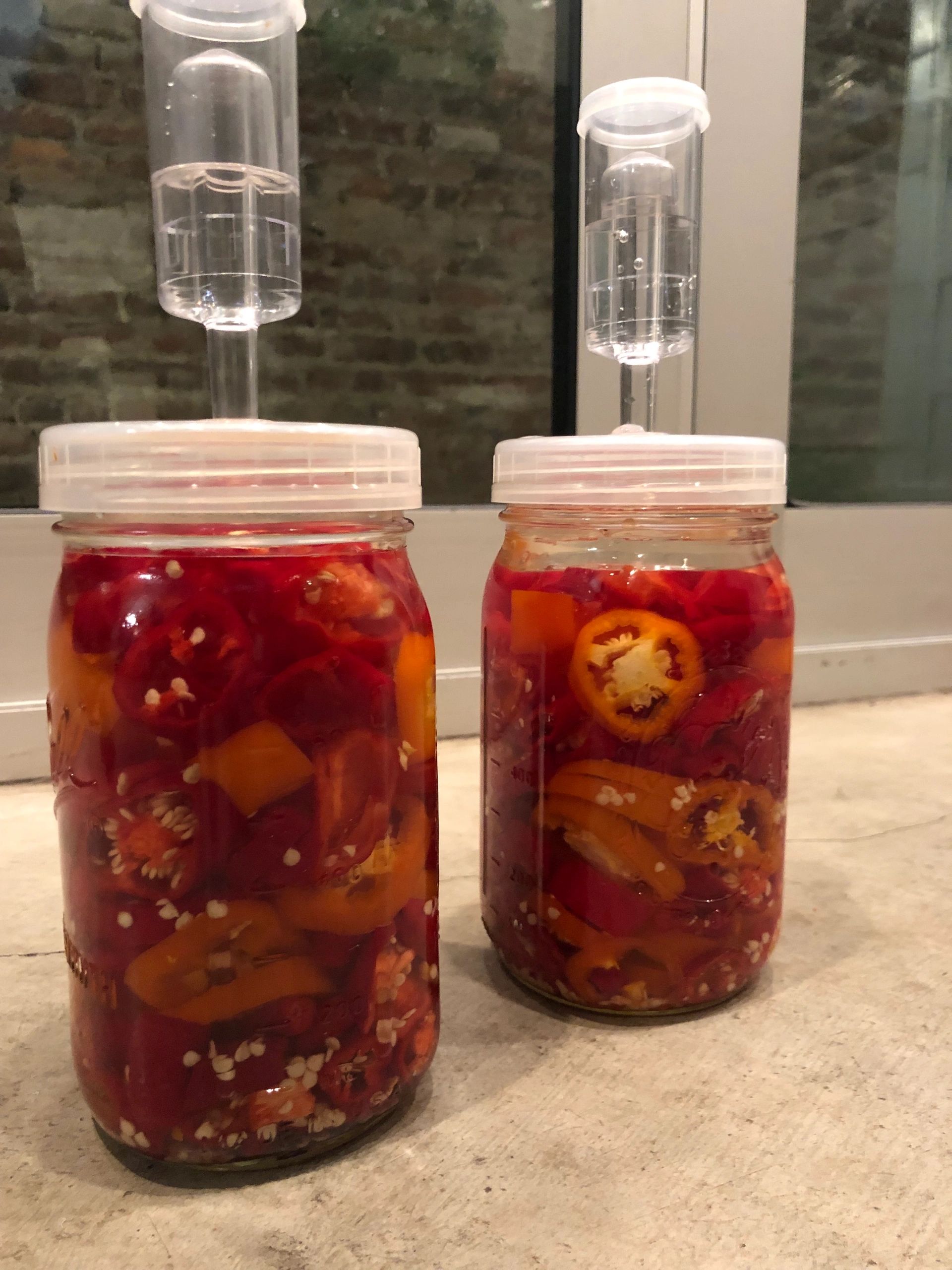 The long ferment (Fermented Hot Sauce Experiment #4) Part 1