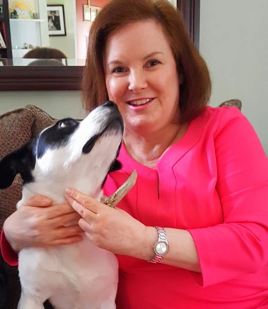 Lisa's Leashes DC LLC