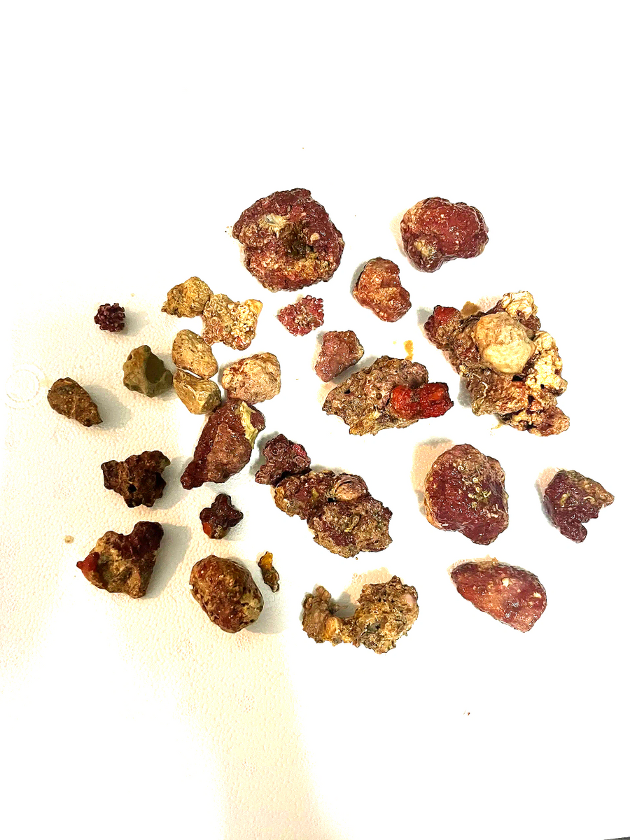 1 LB Premium Live Rock Rubble