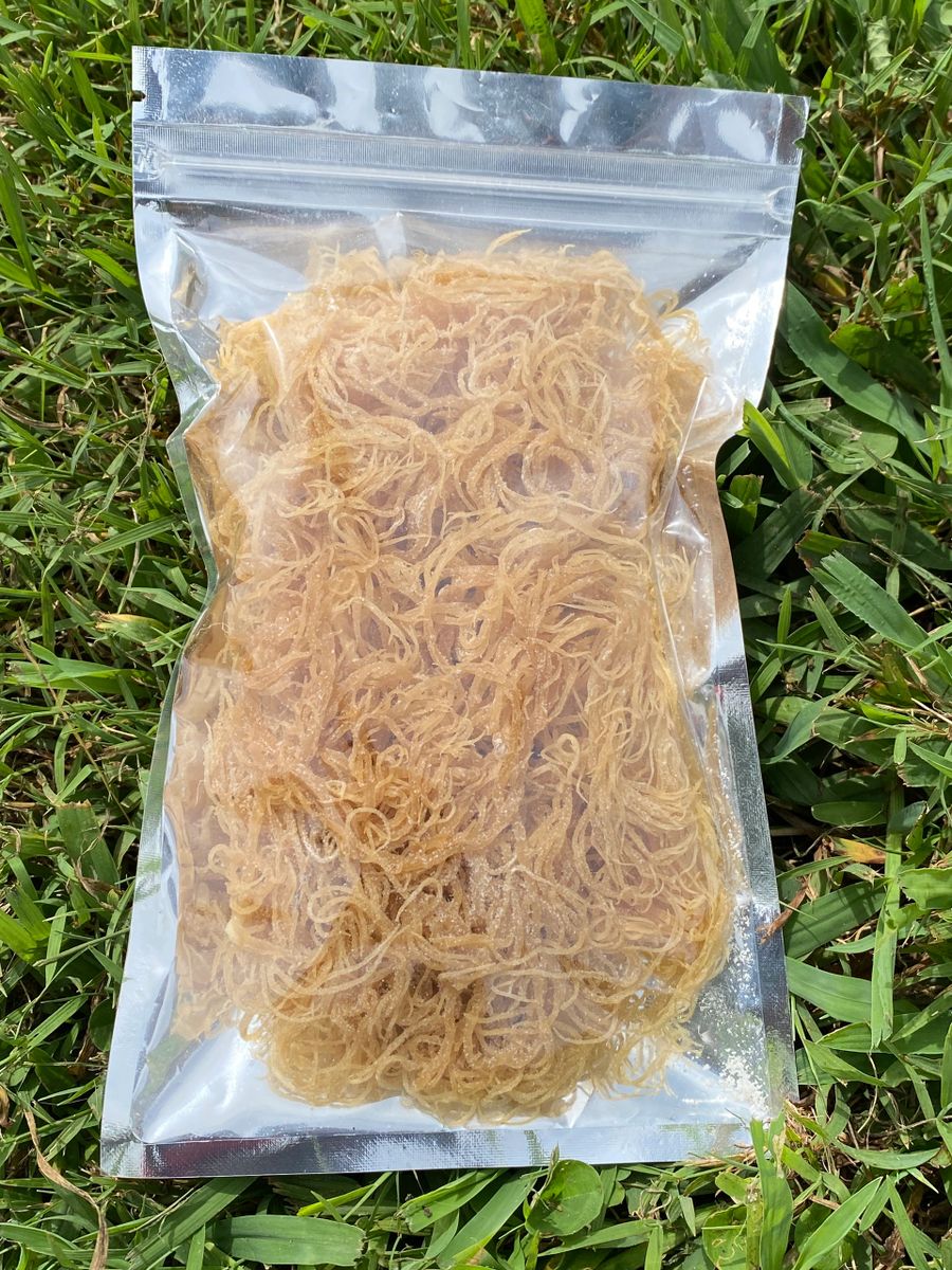 Wildcrafted dried Sea Moss (Irish Moss)